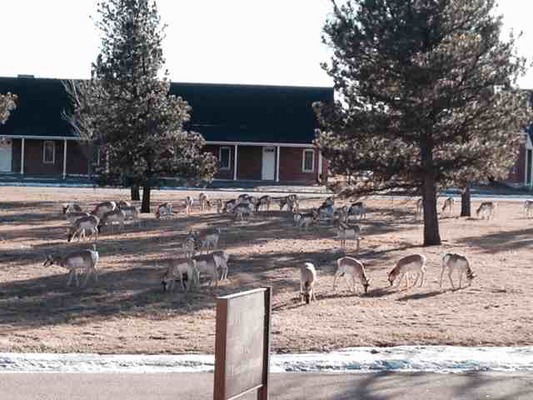 FE Warren AFB Directory - Lodging Office (Crow Creek Inn)